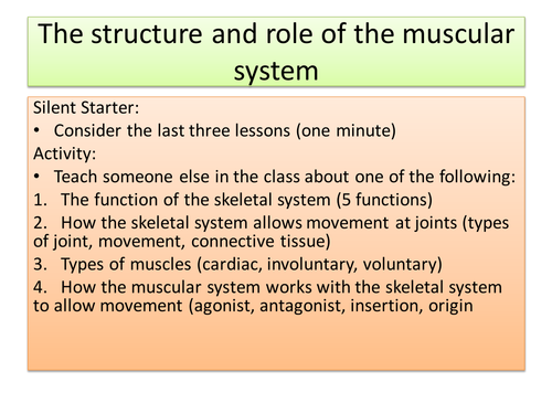 AQA GCSE PE skeletal and muscular systems | Teaching Resources