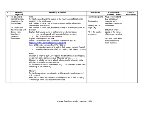 Human Muscles KS2 Lesson Plan and Worksheets | Teaching Resources