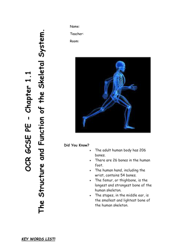 The Skeletal System revision/work booklet - Chapter 1.1 for OCR GCSE PE ...