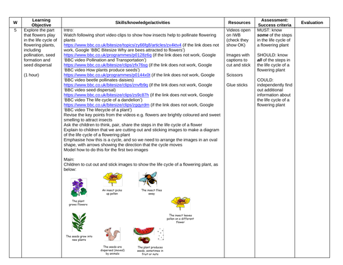 Plants Year 3 Planning and Resources | Teaching Resources