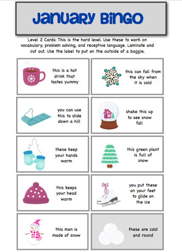 January Bingo | Teaching Resources