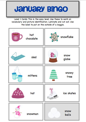 January Bingo | Teaching Resources