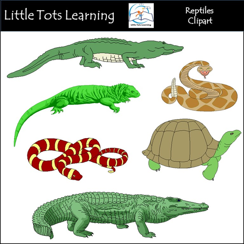Reptiles Clip Art | Teaching Resources