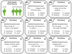 Plural Nouns Task Cards | Teaching Resources