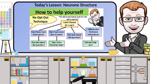 A Level Biology Neurons & Nerve Cells Lesson & Activities | Teaching ...
