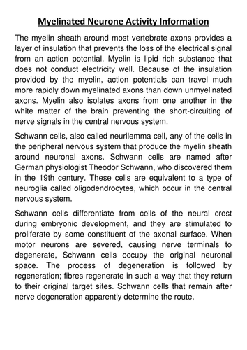 A Level Biology Neurons & Nerve Cells Lesson & Activities | Teaching ...