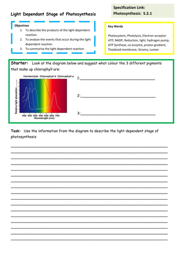 ALevel Biology Light Dependent Reaction of Photosynthesis Lesson ...