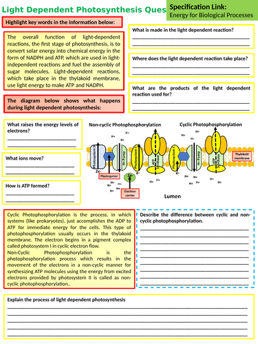 ALevel Biology Light Dependent Reaction of Photosynthesis Lesson ...