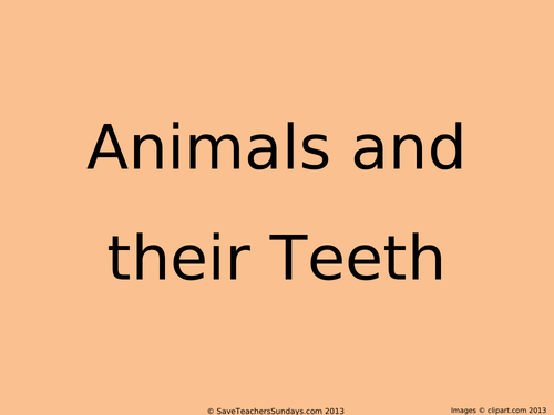 Types of Teeth KS2 Lesson Plan, PowerPoint and Worksheet | Teaching ...