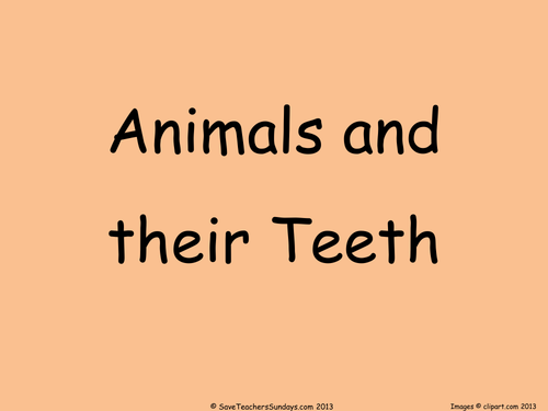 Types of Teeth KS2 Lesson Plan, PowerPoint and Worksheet | Teaching ...