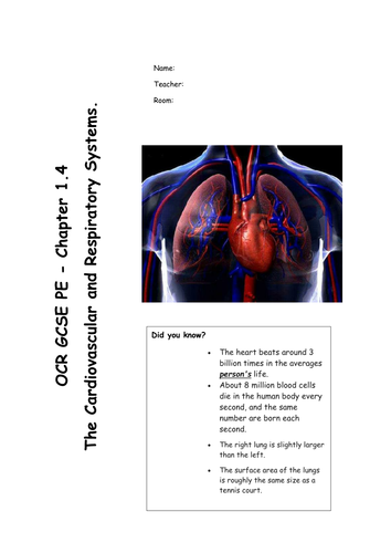 Chapter 1.4 Cardiovascular and Respiratory Systems for OCR GCSE PE 2016 ...
