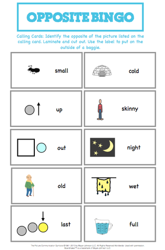 Opposite Bingo | Teaching Resources