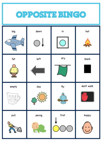 Opposite Bingo | Teaching Resources
