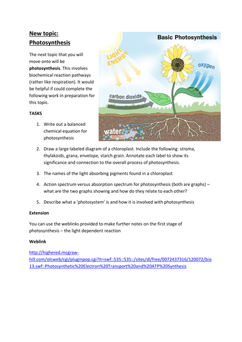 Photosynthesis - initial research task | Teaching Resources
