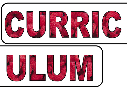 FOOD TECHNOLOGY DISPLAY - TEACHING RESOURCES LABELS FRUIT VEG HEALTHY ...