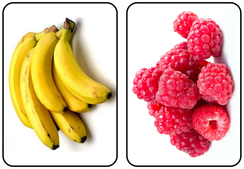 FOOD TECHNOLOGY DISPLAY - TEACHING RESOURCES LABELS FRUIT VEG HEALTHY ...