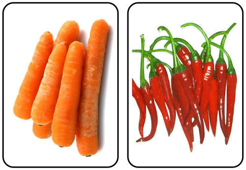 FOOD TECHNOLOGY DISPLAY - TEACHING RESOURCES LABELS FRUIT VEG HEALTHY ...