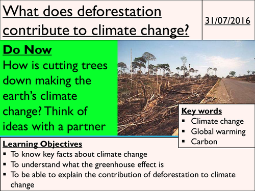 Deforestation | Teaching Resources