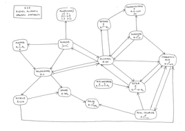 6.2.5 Organic Sythesis Mind Maps for A Level Chemistry OCR Chemistry A ...