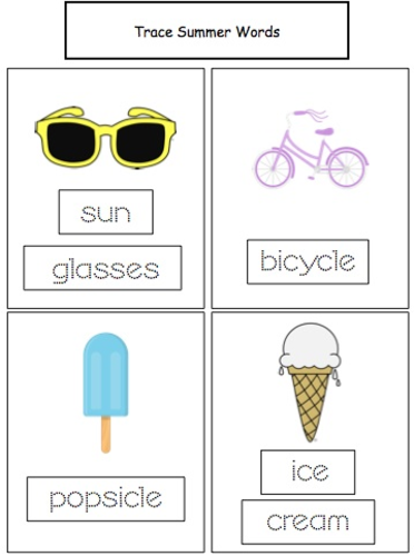 Summer Vocabulary Mini Unit {for Special Education} | Teaching Resources