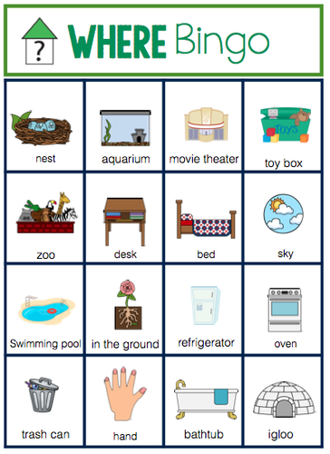 Wh- Question Bingo | Teaching Resources