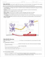 Parts of a Neuron and 7 Common Neurotransmitters Worksheet | Teaching ...