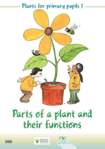 "Plants for Primary Pupils" teachers' book - Book 1: Parts of a plant ...