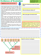 A Level Biology Evidence for Evolution Lesson | Teaching Resources