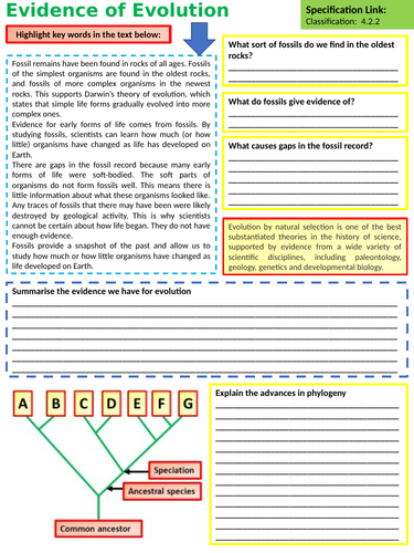 A Level Biology Evidence for Evolution Lesson | Teaching Resources
