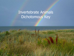 Invertebrate Animals Interactive Identification Game: Science ...