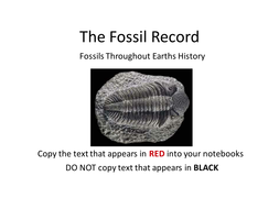 Fossil Record PowerPoint | Teaching Resources