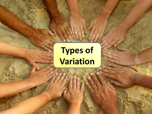 A Level Biology Types of Variation Lesson & Activities | Teaching Resources