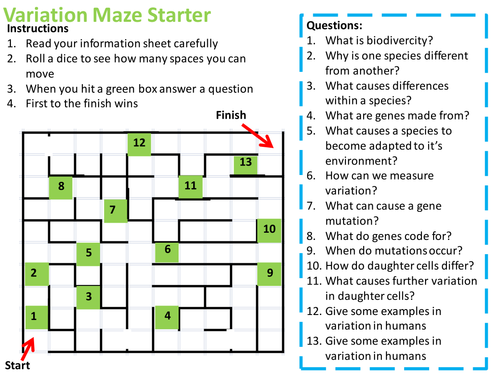 A Level Biology Types of Variation Lesson & Activities | Teaching Resources