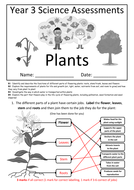 Year 3 Science Assessment: Plants | Teaching Resources