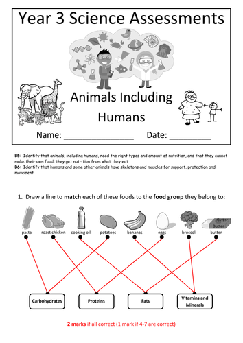 Year 3 Science Assessment: Animals, Including Humans | Teaching Resources Year 3 Science Assessment: Animals, Including Humans | Teaching Resources