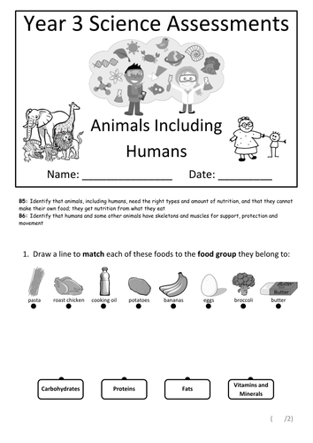 Year 3 Science Assessment: Animals, Including Humans by mrajlong - UK ...