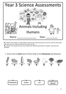 Year 3 Science Assessments and Tracking Without Levels | Teaching Resources