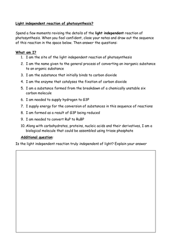 Light independent reactions of photosynthesis - 'what am I?' quiz ...