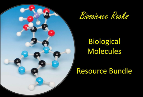 Biological Molecules Bundle | Teaching Resources
