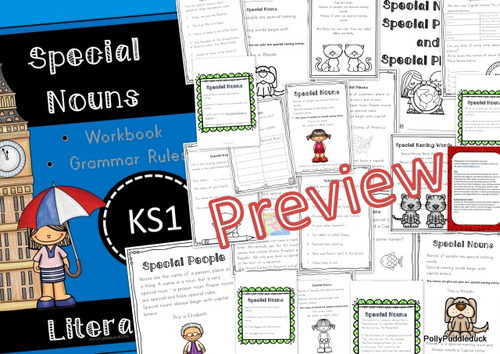 Special Nouns Workbook and Rules Display Cards (KS1) by PollyPuddleduck ...