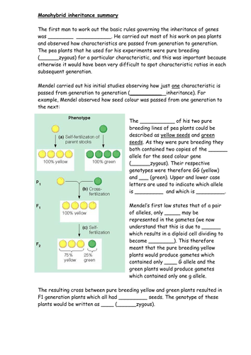 Monohybrid Inheritance - the full story | Teaching Resources