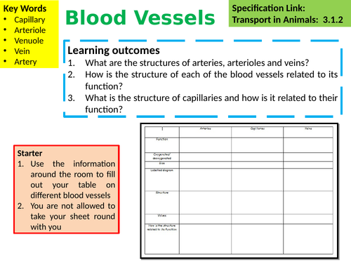 A Level Biology Blood Vessels Lesson & Activity | Teaching Resources