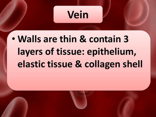A Level Biology Blood Vessels Lesson & Activity | Teaching Resources