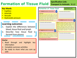 A Level Biology Blood, Tissue Fluid & Lymph lesson & Activities by ...