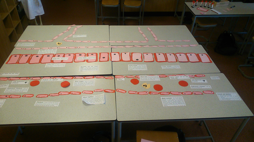 A Level Biology Blood, Tissue Fluid & Lymph lesson & Activities ...