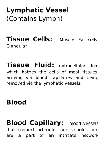A Level Biology Blood, Tissue Fluid & Lymph lesson & Activities ...