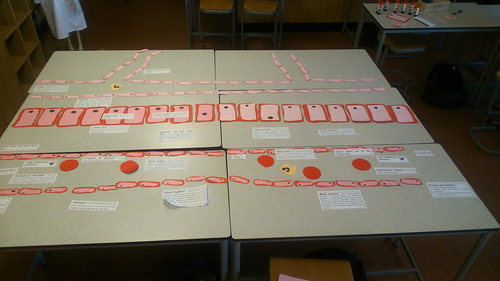 A Level Biology Blood, Tissue Fluid & Lymph lesson & Activities ...