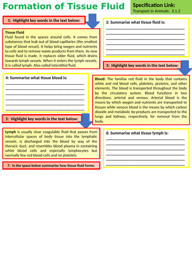 A Level Biology Blood, Tissue Fluid & Lymph lesson & Activities ...
