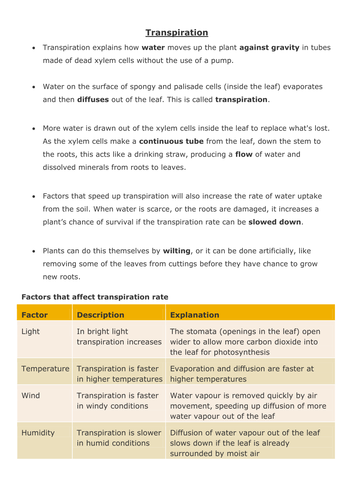 A Level Biology Transpiration Lesson & Activities | Teaching Resources