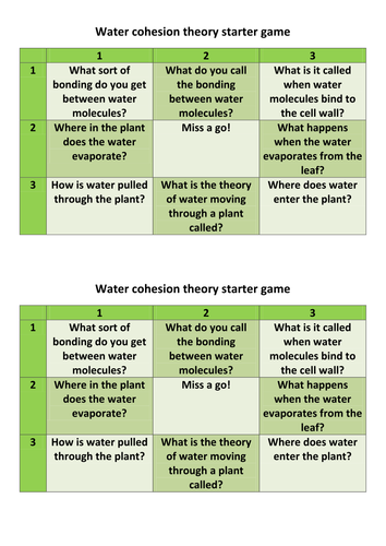 A Level Biology Transpiration Lesson & Activities | Teaching Resources